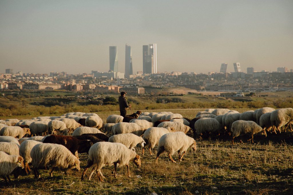 inland (campo adentro) – babaà